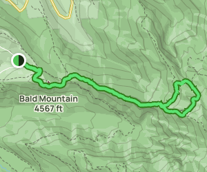 AllTrails | McNeil Point Trail: 2444 Reviews, Map - Oregon