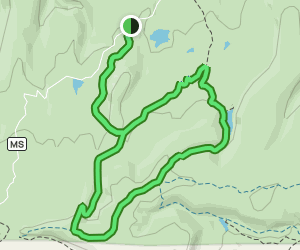 Turkey Flats Loop Trail: 127 Reviews, Map - Colorado | AllTrails