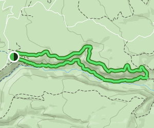 West Mancos, Golconda, Aspen Loop, and Transfer Road Loop: 25 Reviews ...