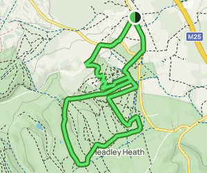 Headley and Headley Heath Circular: 7 Reviews, Map - Surrey, England ...