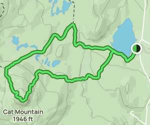 Cat Mountain Red and Blue Trails Loop: 494 Reviews, Map - New York ...