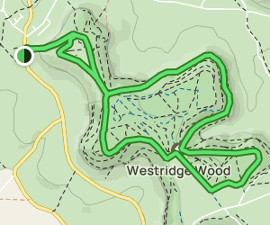 Tyndale Monument and Westridge Wood Circular: 44 Reviews, Map ...