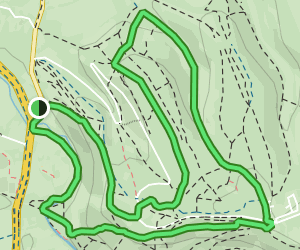 Box Hill Circular: 222 Reviews, Map - Surrey, England | AllTrails