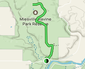 Miesville Upper Bluff Trail, Minnesota - 12 Reviews, Map | AllTrails