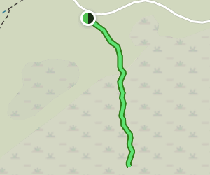 Bog Trail: 57 Reviews, Map - New Brunswick, Canada | AllTrails