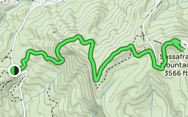 South Carolina Sassafras Map