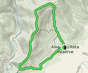 Mount Hutt Forest Loop Track: 36 Reviews, Map - Canterbury, New Zealand ...
