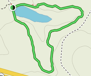 Anderson Pond Loop: 17 Reviews, Map - Florida | AllTrails
