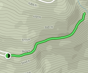 Broken Bridge Trail: 210 Reviews, Map - British Columbia, Canada ...