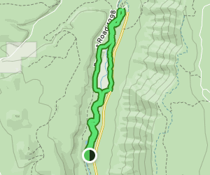 East and West Metolius River Loop, 286 Fotos - Oregon | AllTrails