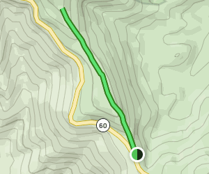 Chestatee Overlook Ridge Trail: 13 Reviews, Map - Georgia | AllTrails