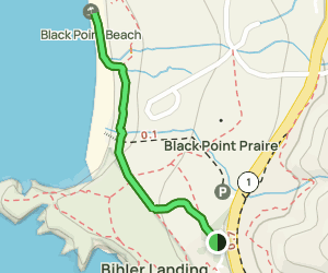 Black Point Beach via Bluff Trail: 37 Reviews, Map - California | AllTrails