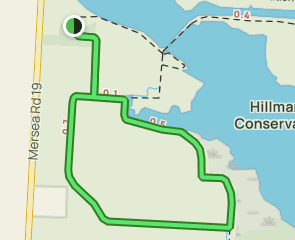 Hillman Marsh Shorebird Cell, Ontario, Canada - 22 Reviews, Map | AllTrails