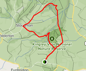Kingley Vale and Stoughton Circular - West Sussex, England | AllTrails