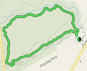 Oka Pine Forest Loop, Quebec, Canada - 22 Reviews, Map | AllTrails