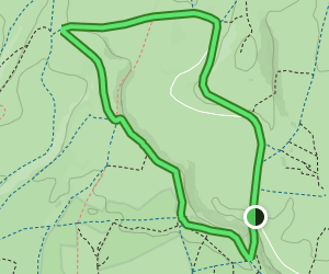 Windy Ridge Circular: 13 Reviews, Map - West Sussex, England | AllTrails