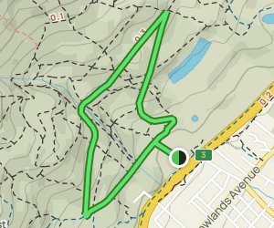 Newlands Forest Short Loop: 286 Reviews, Map - Western Cape, South ...