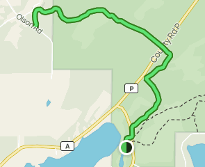 Brule Bog Boardwalk Trail, Wisconsin - 55 Reviews, Map | AllTrails