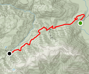 Haast to Paringa Cattle Track: Blowfly Hut to Māori Saddle Hut - West ...