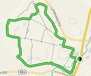 Garvagh Forest: 54 Reviews, Map - Londonderry, Northern Ireland | AllTrails