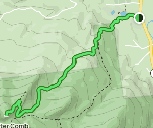 Rooster Comb Trail: 961 Reviews, Map - New York | AllTrails