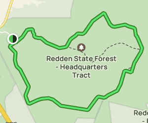 Redden State Forest Loop: 307 Reviews, Map - Delaware | AllTrails