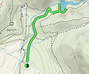 3 Damme Fernkloof Hike: 47 Reviews, Map - Western Cape, South Africa ...