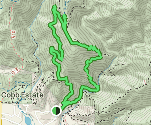Echo Mountain Via Rubio Canyon Trailhead: 180 Reviews, Map - California ...