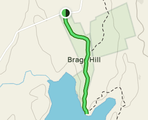 Muddy Pond via Midstate Trail, Massachusetts - 74 Reviews, Map | AllTrails