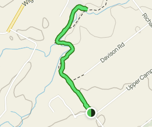 Samford Creek Pony Trail: 1 foto's - Queensland, Australië | AllTrails