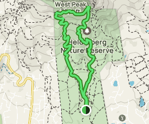 Leopard and Protea Loop: 211 Fotos - Cabo Ocidental, África do Sul ...