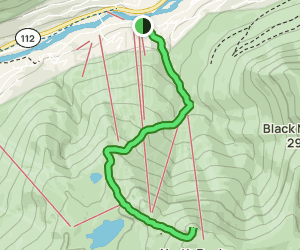 AllTrails | Loon North Peak via Brookway and and Bear Claw Trail: 29 ...