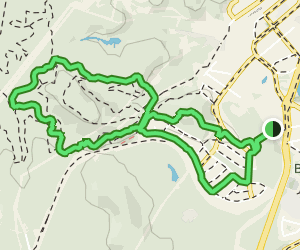 Booragul Station to Billy Goat Hill Loop: 19 Reviews, Map - New South ...