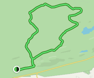 Cawfields Lake and Spadeadam Forest CIrcular: 8 Reviews, Map ...