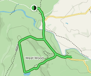 Alwinton and Harbottle Circular: 23 Reviews, Map - Northumberland ...