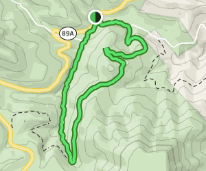 Mescal Gulch to Bug Hollow Loop: 115 Reviews, Map - Arizona | AllTrails