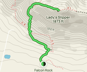 Ladies Slipper Trail: 20 Reviews, Map - Eastern Cape, South Africa ...