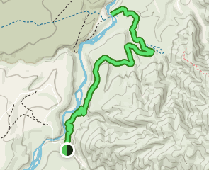 Pillars of Hercules: 7 Reviews, Map - Waikato, New Zealand | AllTrails