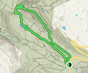 Silvermine River Walk - Tokai: 3 Reviews, Map - Western Cape, South ...