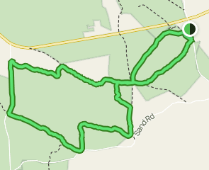 Pocomoke State Forest Yellow and Orange Furnace Trail Loop, Maryland ...