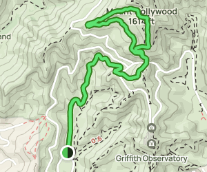 West Trail and Mount Hollywood Trail Loop - California | AllTrails