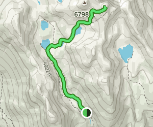 Tricouni Peak Trail: 78 Reviews, Map - British Columbia, Canada | AllTrails