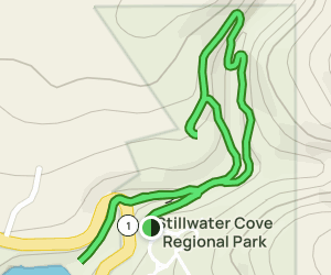 Stillwater Cove Canyon Trail: 114 Reviews, Map - California | AllTrails