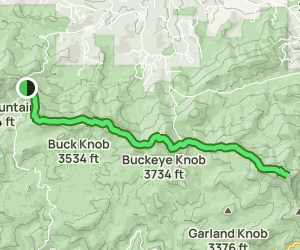 Mulkey Gap to Coosa Bald Trail: 31 Reviews, Map - Georgia | AllTrails