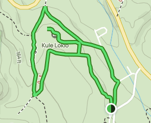 Kule Loklo Trail, California - 71 Reviews, Map | AllTrails