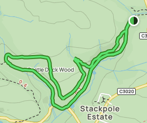 Castle Dock Woods: 6 Reviews, Map - Pembrokeshire, Wales | AllTrails