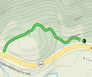 Snowshoe Thompson Cave Trail: 10 Reviews, Map - California | AllTrails