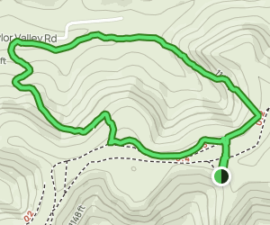 Wildcat Mountain Red Trail: 24 Reviews, Map - Wisconsin | AllTrails