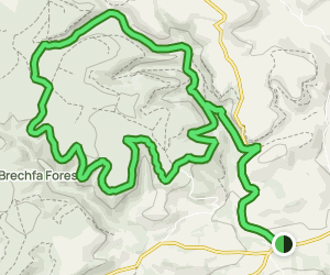 Brechfa Forest Circular: 12 Reviews, Map - Carmarthenshire, Wales ...