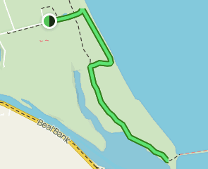 Warkworth Dune and River Coquet: 14 Reviews, Map - Northumberland ...